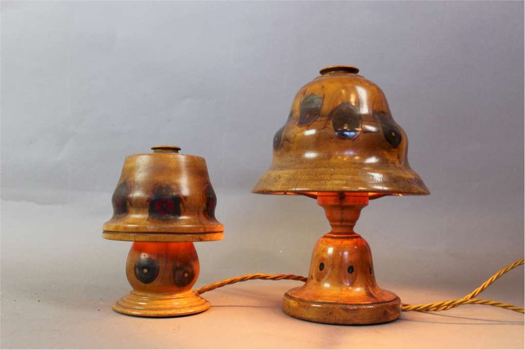 Brazilian Vintage Brazilian lamp made of Araucaria Araucana wood lamp ...